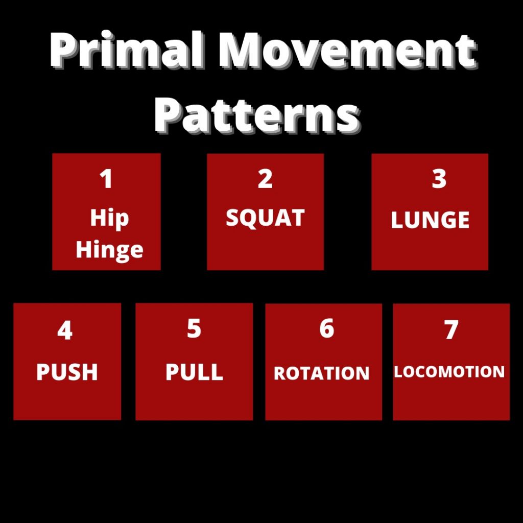 The MOST Misunderstood Movement Pattern - Ultimate Sandbag Training