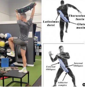How Lifts/Chops Improve Your Strength, Stability, & Mobility - Ultimate ...
