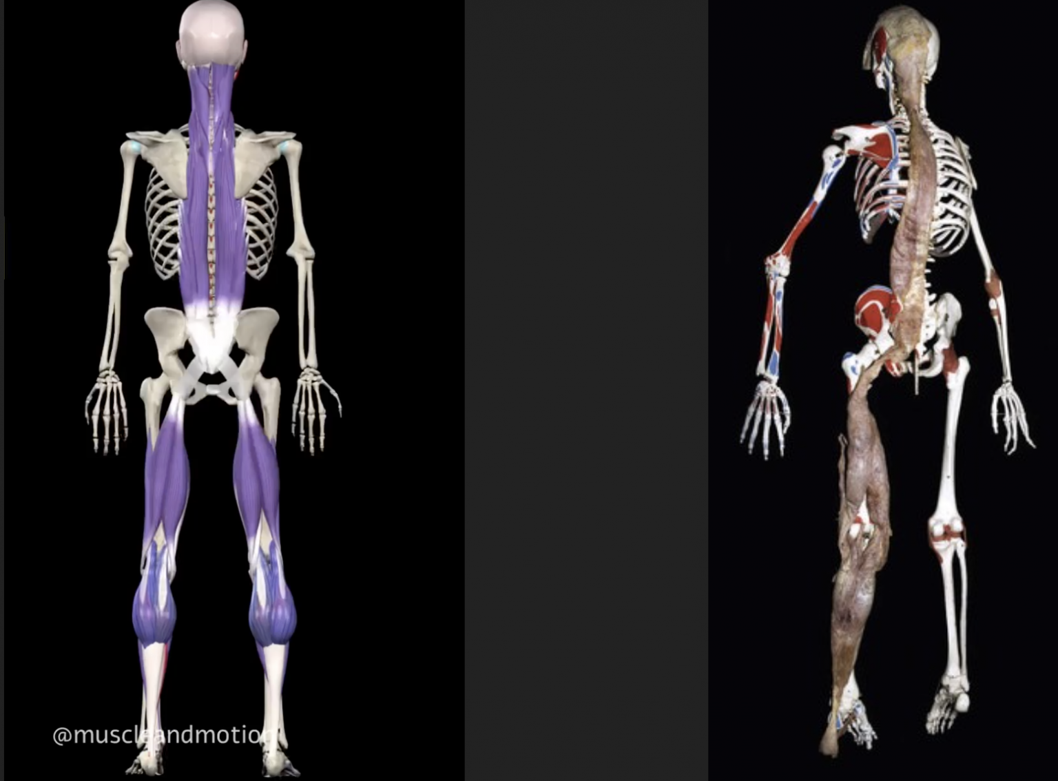 Creating More Successful Deadlifts & Hip Hinges