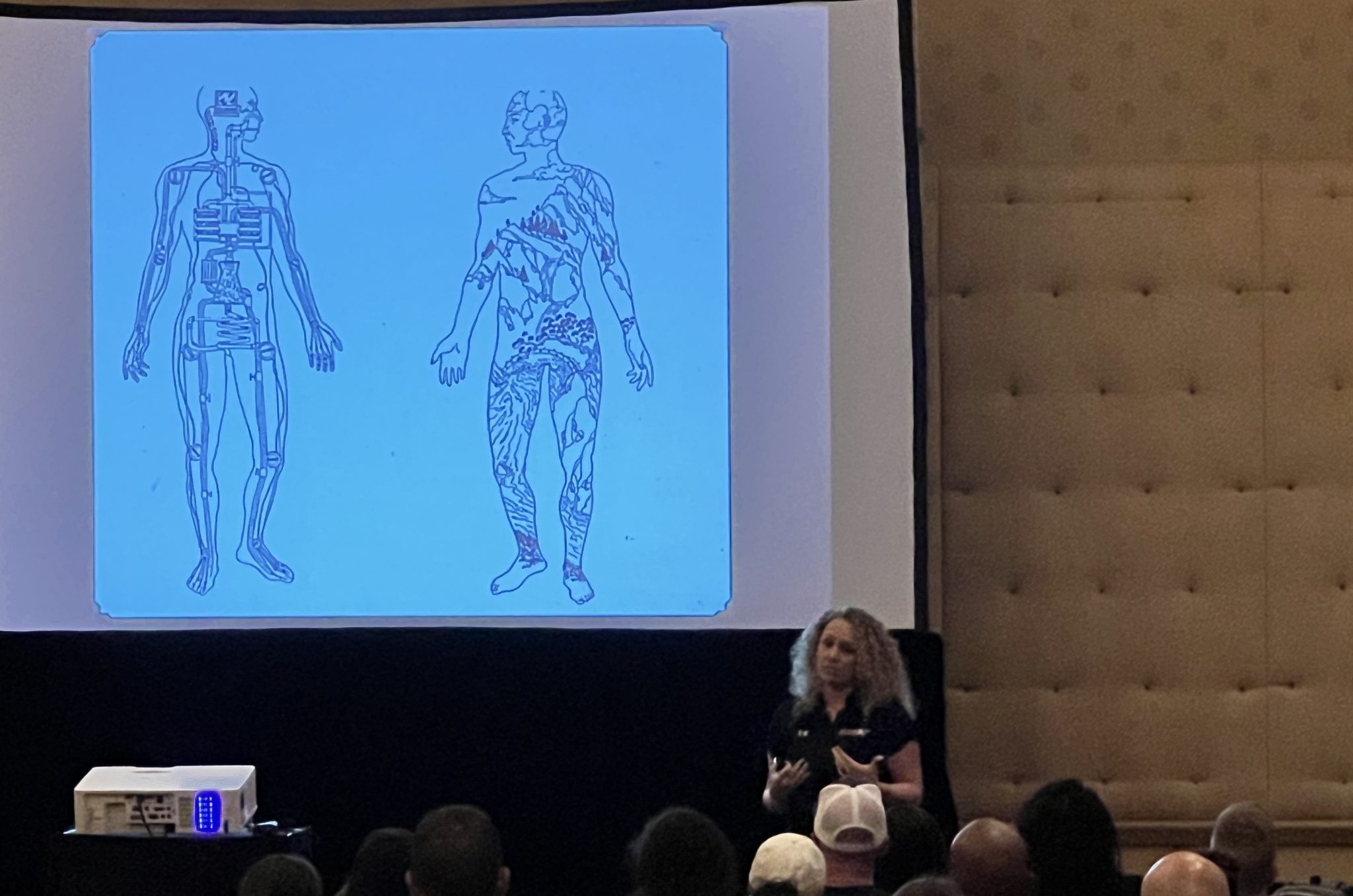 Why The Feet Are Essential For Strong Adductors & Groin Pain - Ultimate ...