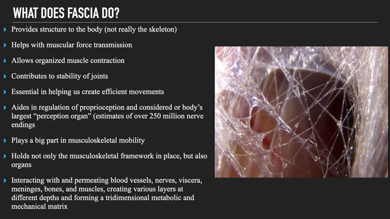 How To Improve Mobility and Reduce Chronic Pain - Ultimate Sandbag Training