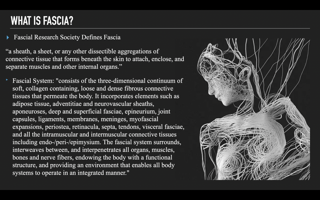3 Ways Understanding Fascia Makes Your Workouts Smarter - Ultimate ...
