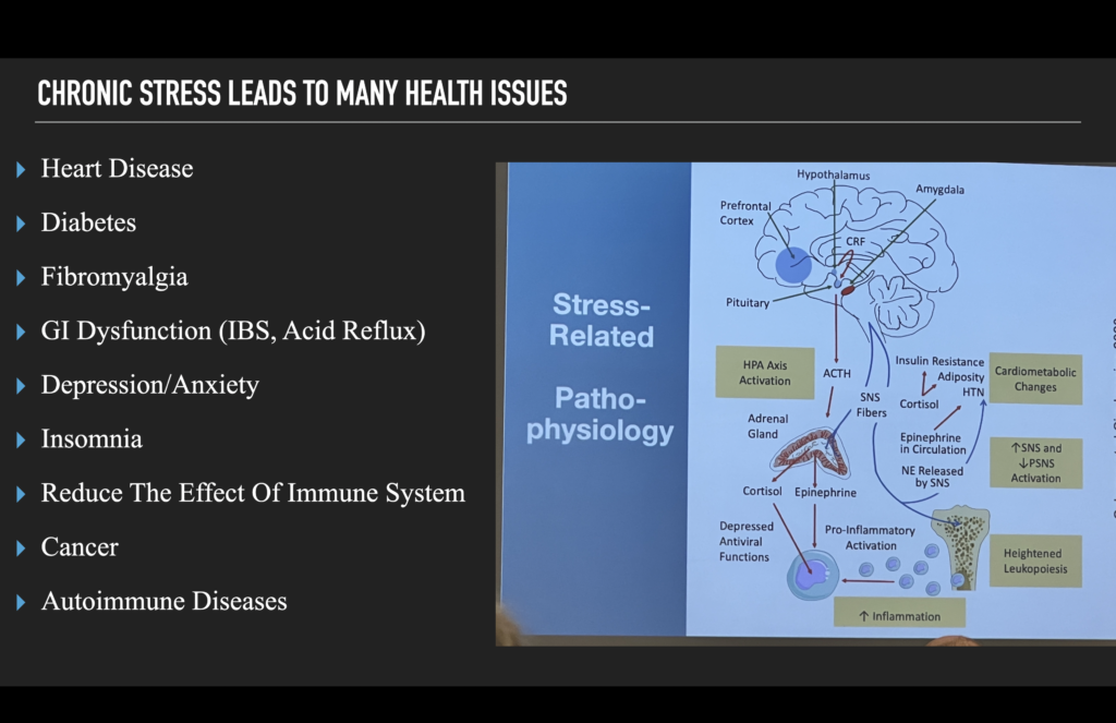 How To Reduce Chronic Inflammation To Decrease Pain - Ultimate Sandbag ...