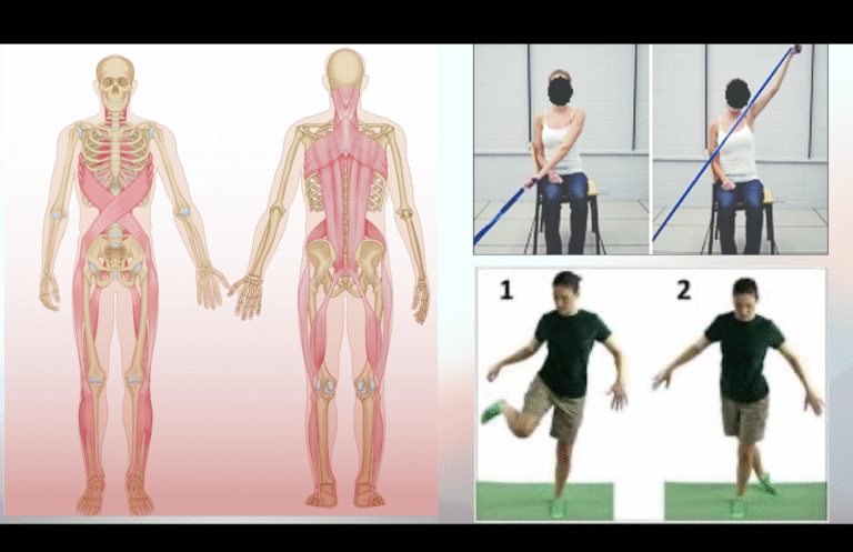 The Power of Diagonal PNF Patterns for Pain, Mobility, and Strength ...