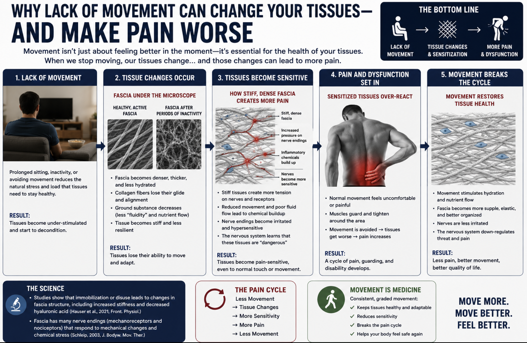 Is There An Ideal Mobility Exercise For Low Back Pain? - Ultimate ...